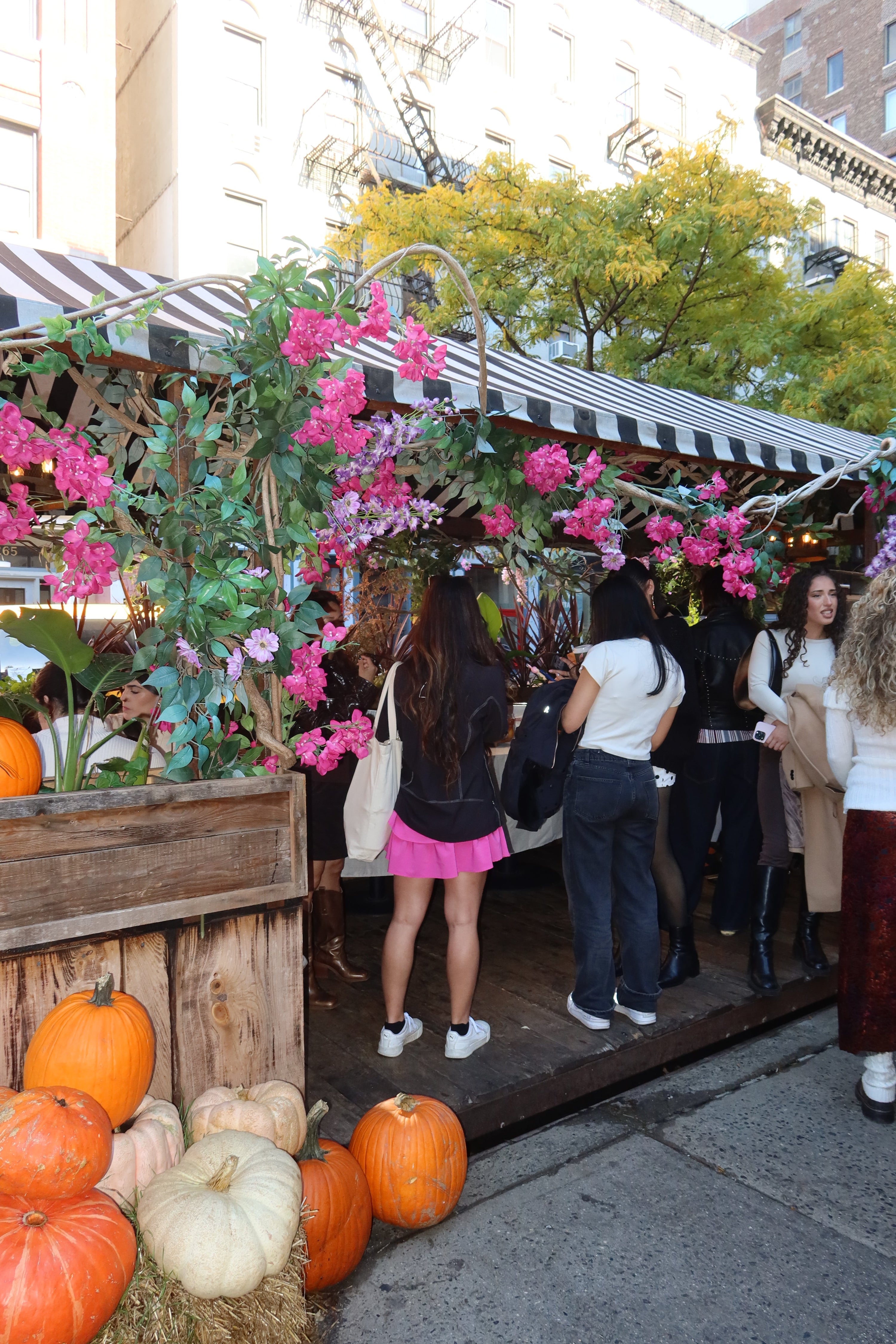 Tini Bit Older: A Celebration of Growth, Friendship, and Matcha at Iss ...